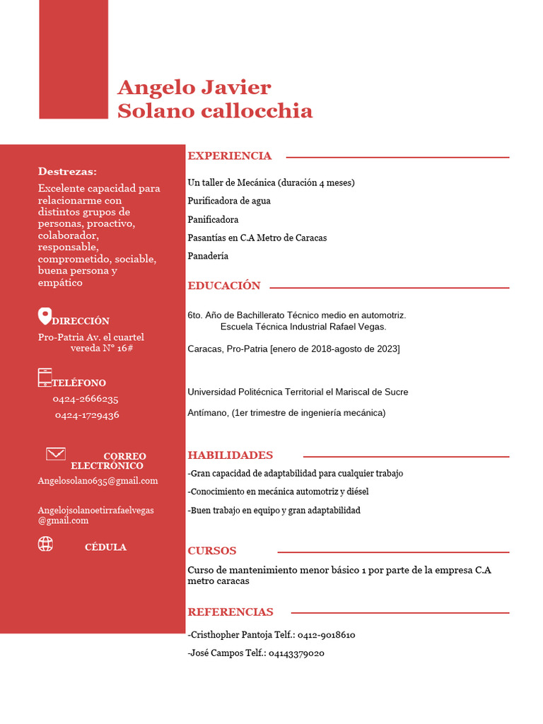 Curriculum de Angelo Solano | PDF