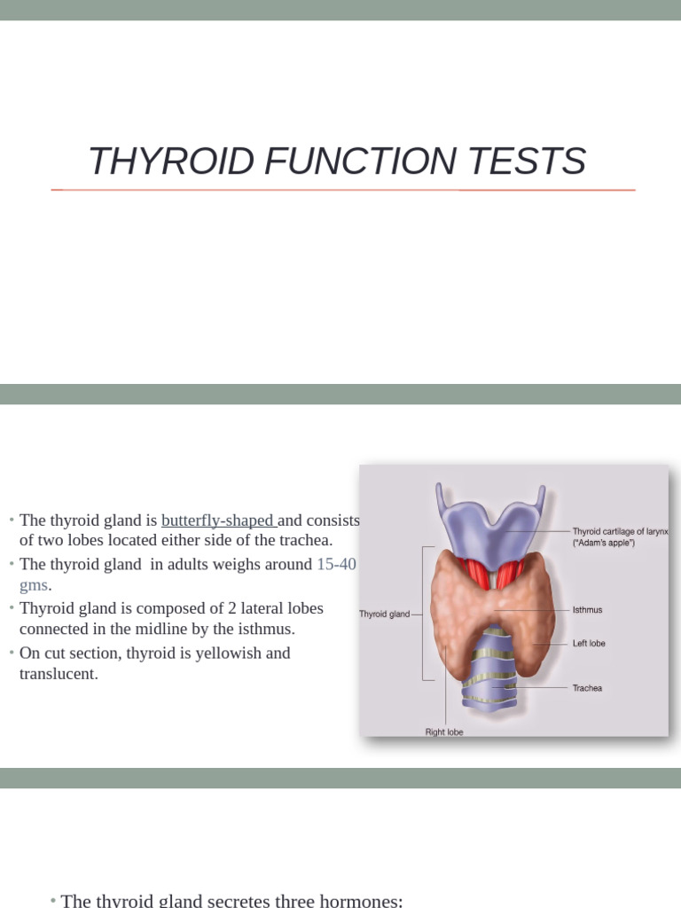 Thyroid Function Tests Overview | PDF | Thyroid | Thyroid Stimulating ...