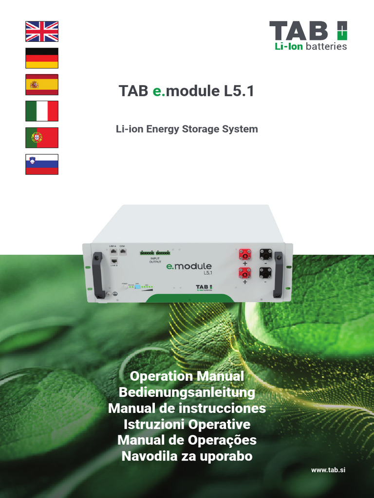 Li-ion Energy Storage Guide | PDF | Manufactured Goods | Energy Technology