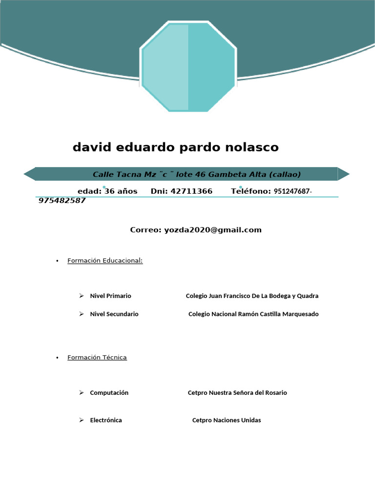 CV de David Eduardo Pardo Nolasco | PDF