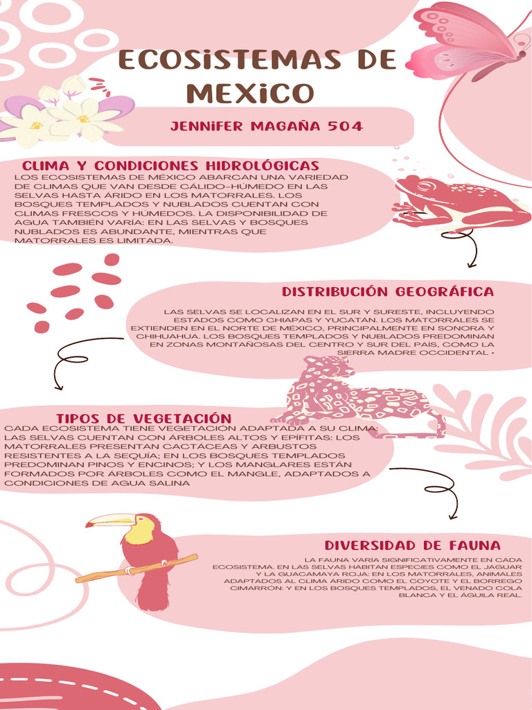 Infografía Ecosistemas | PDF