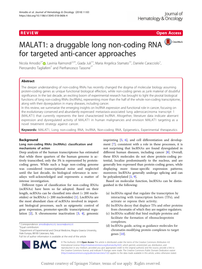 MALAT1 A Druggable Long Non-Coding RNA For Targete | PDF | Regulation Of Gene Expression | Micro Rna
