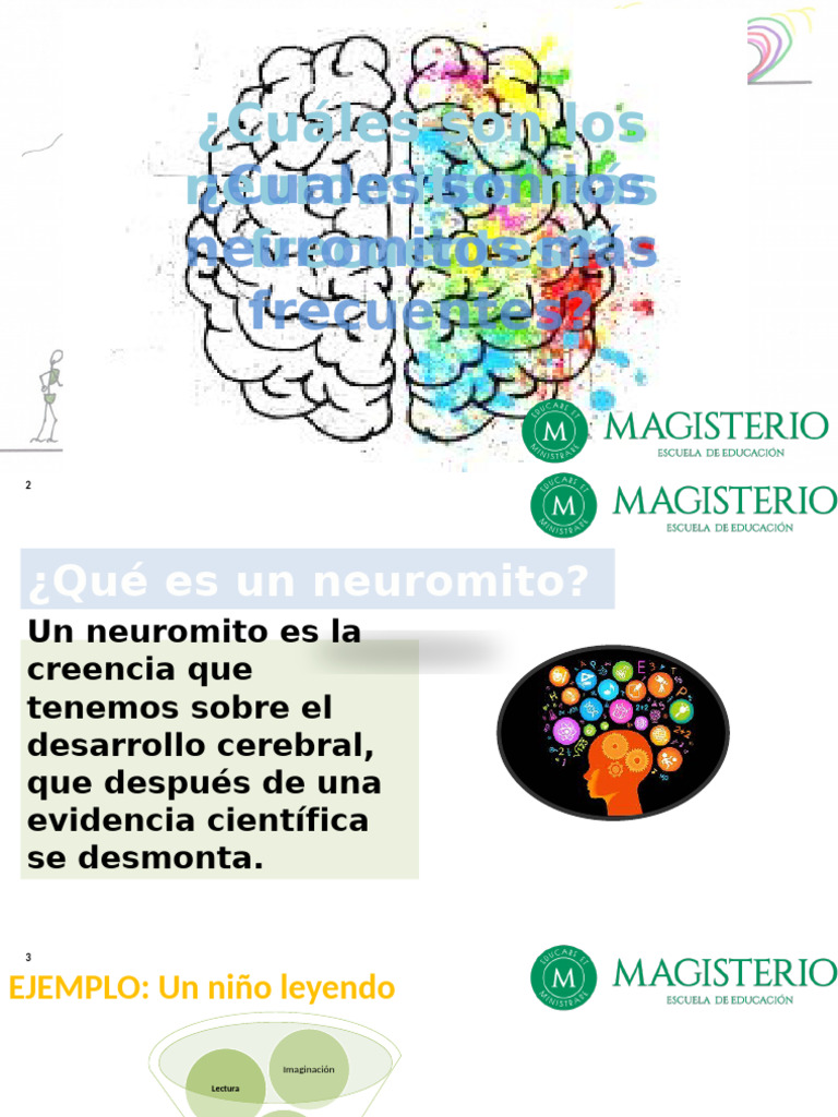Que Son Los Neuromitos | PDF