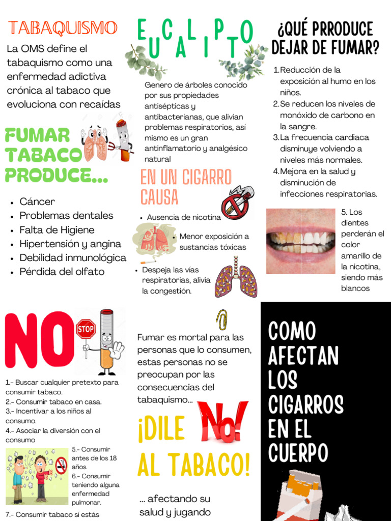 Tríptico Cigarros | PDF | Tabaco | Cigarrillo