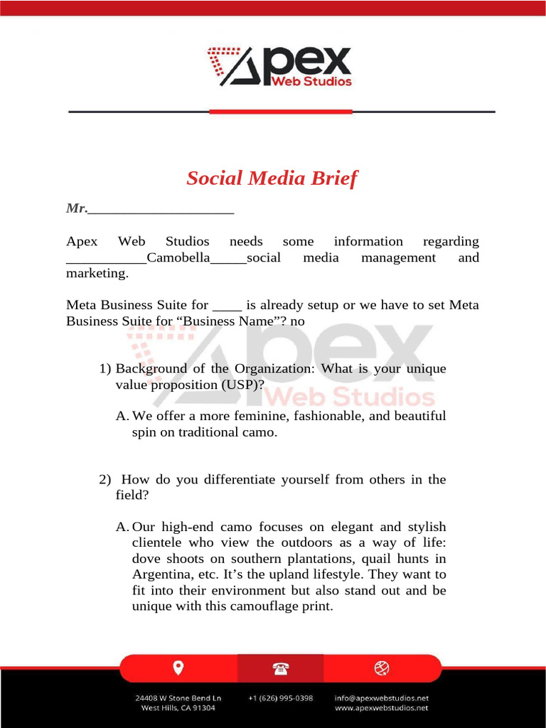 Apex Web Studios SMM Brief Form | PDF