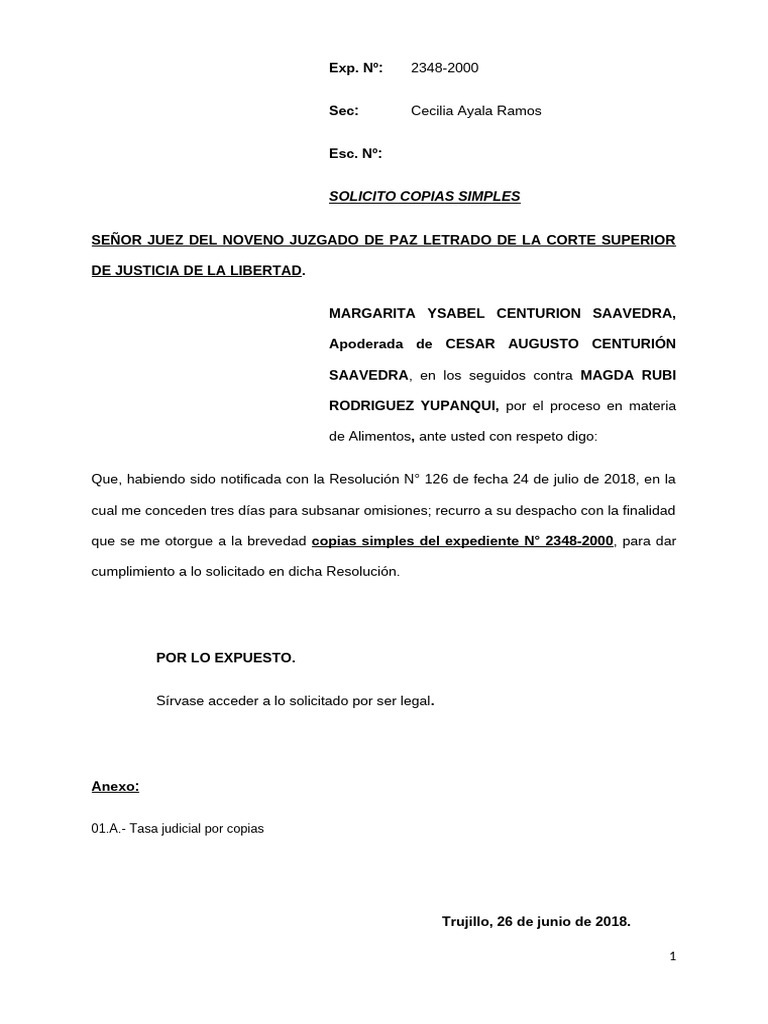 Copias Simples | PDF