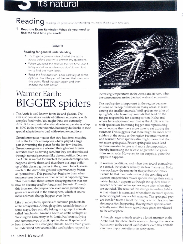 Arctic Wolf Spiders and Climate Impact | PDF | Decomposition ...