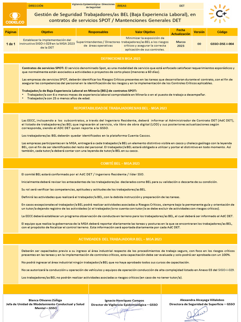 Instructivo BEL MGA 2023 GSSO-DSE-I-004 | PDF