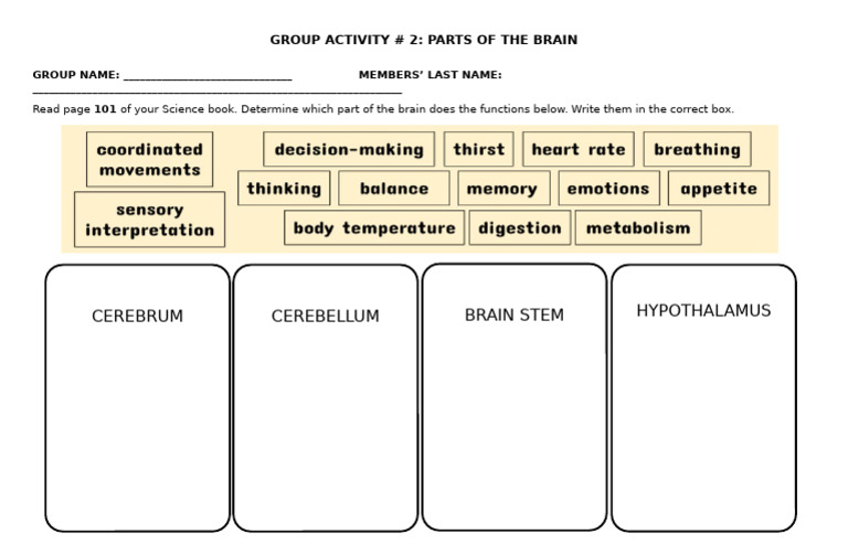 Brain Group Activity | PDF