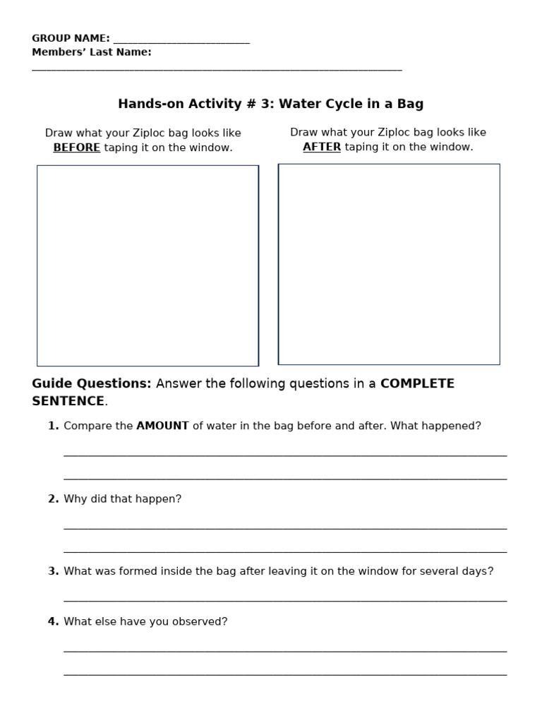 Water Cycle Activity | PDF