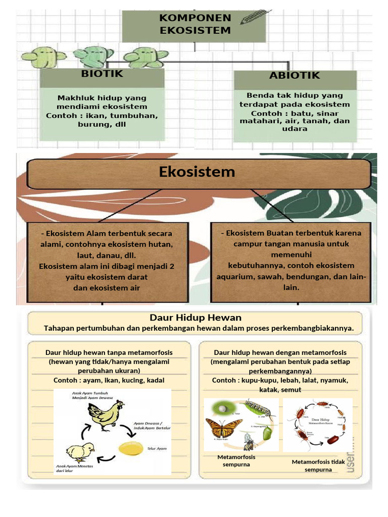 IPA 5 EKOSISTEM Dan IPS | PDF