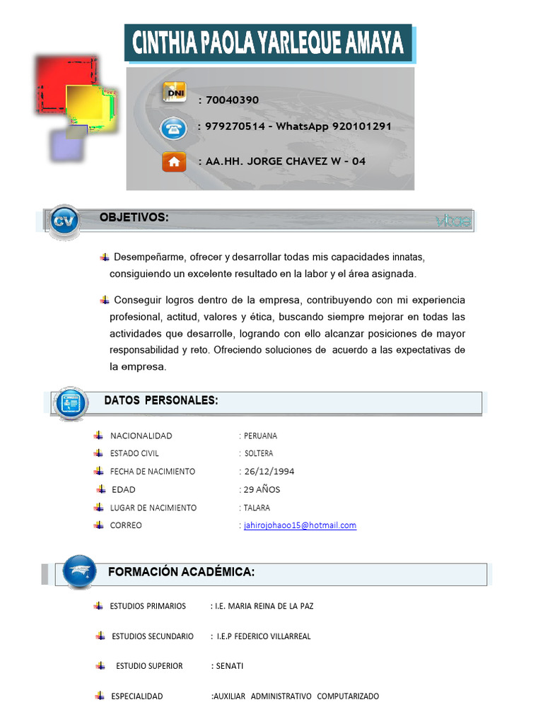 CV - Yarleque Amaya Cinthia | PDF