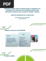 Protocolo Prexor Informe | PDF | ruido