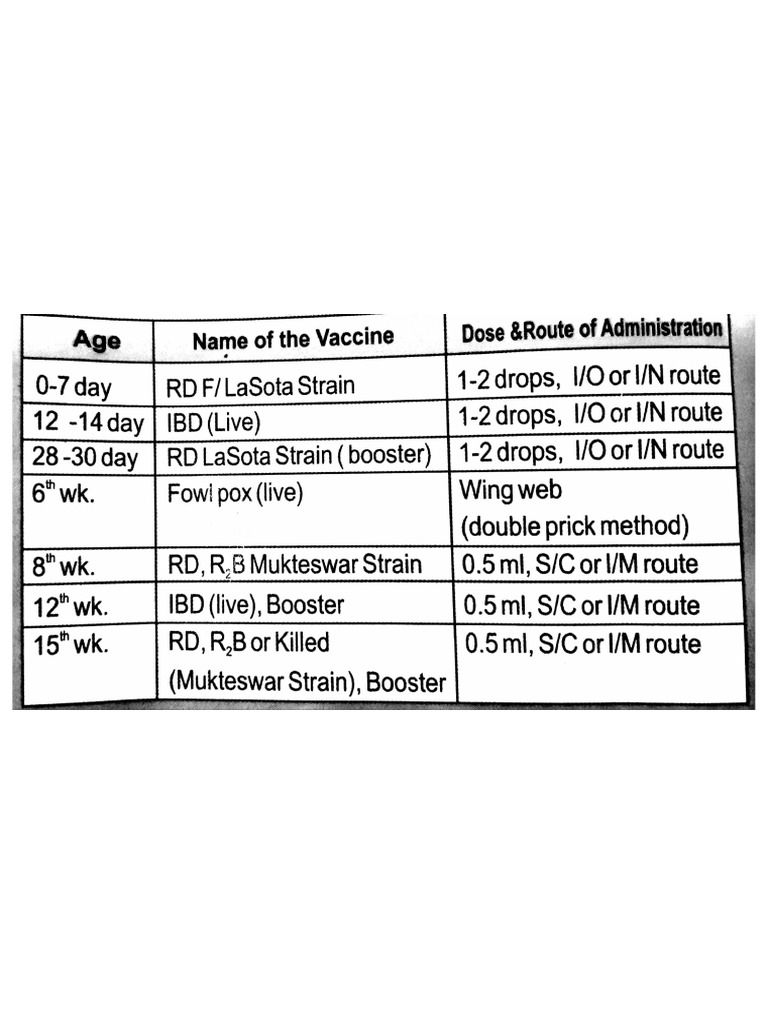Vaccination Schedule For Backyard Poultry | PDF
