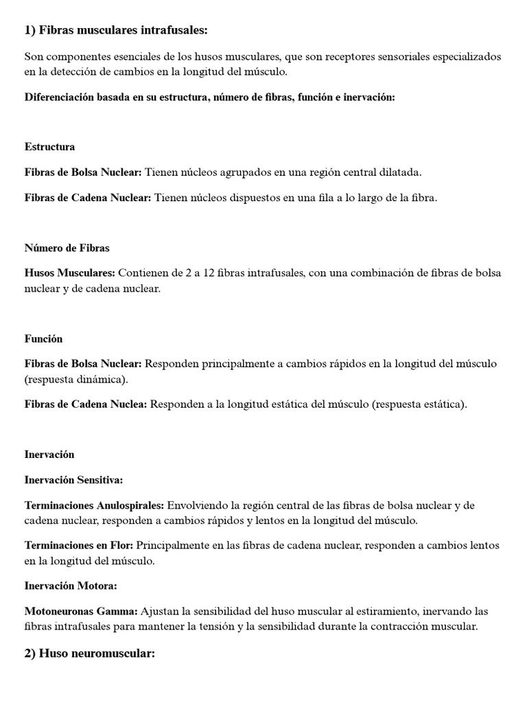 Fibras Musculares Intrafusales - 20241124 - 224424 - 0000 | PDF ...