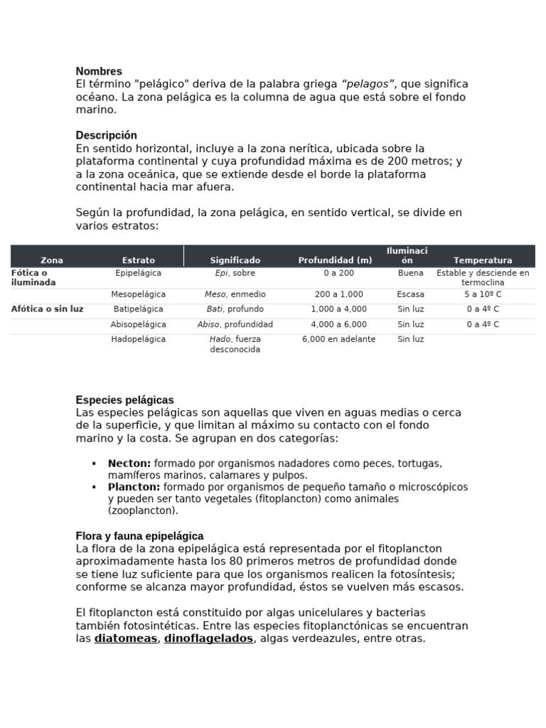 Información sobre el ambiente pelágico | PDF | Plancton | Oceanografía