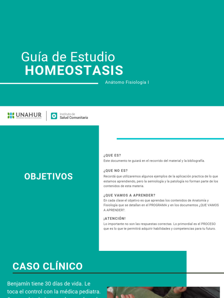 Af1 Guia de Estudio Clase2 | PDF | Homeostasis | Corazón