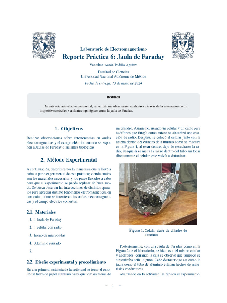 Práctica 6 Jaula de Faraday | PDF | Electromagnetismo | Ciencia de los Materiales