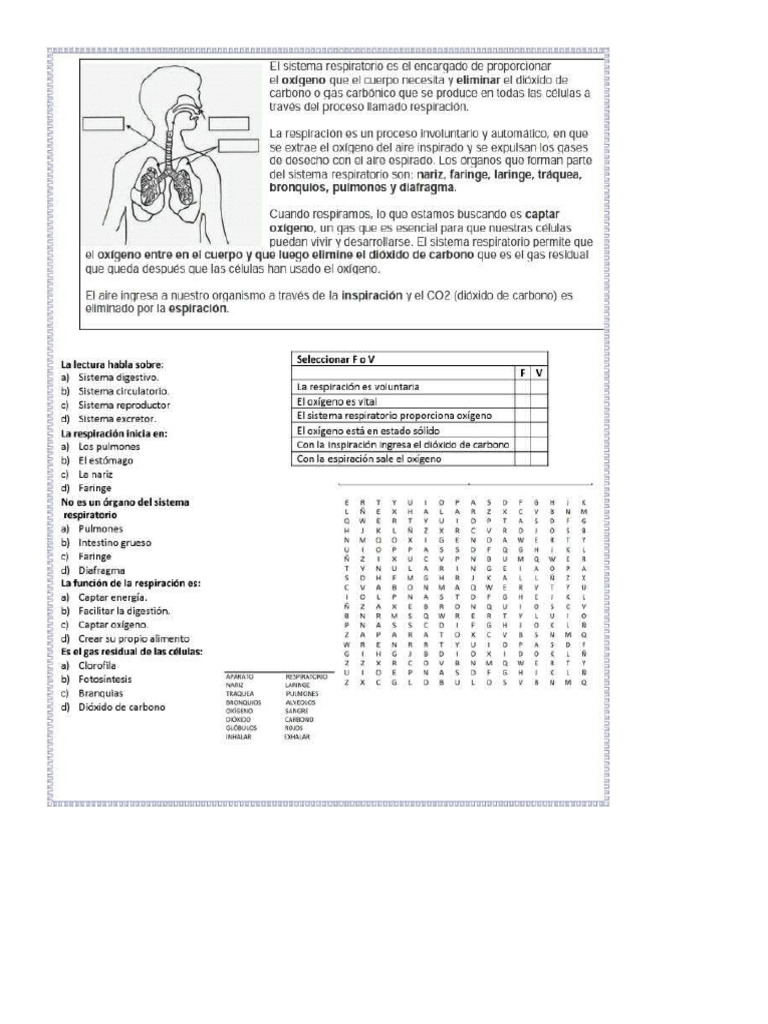 Imag Sistem Resp y Circula | PDF
