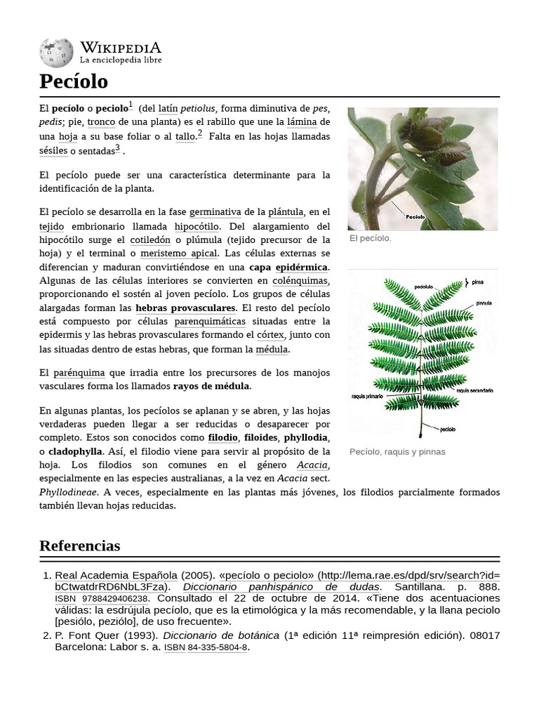 Qué es el pecíolo en las plantas | PDF | Morfología (biología ...