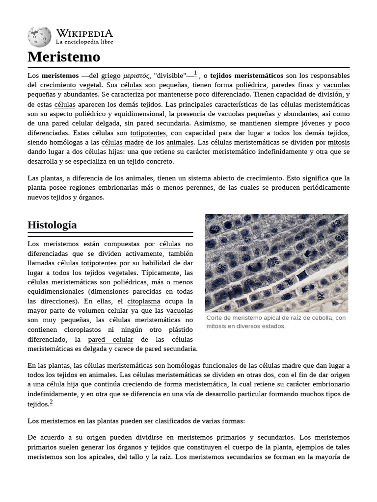 Meristemos: Clave del Crecimiento Vegetal | PDF | Tallo de la planta ...