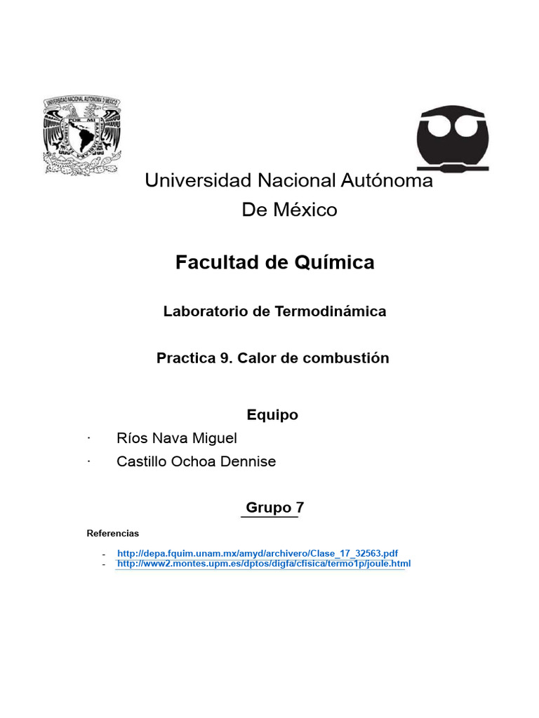 Calor de Combustión en Termodinámica | PDF | Combustión | Física ...