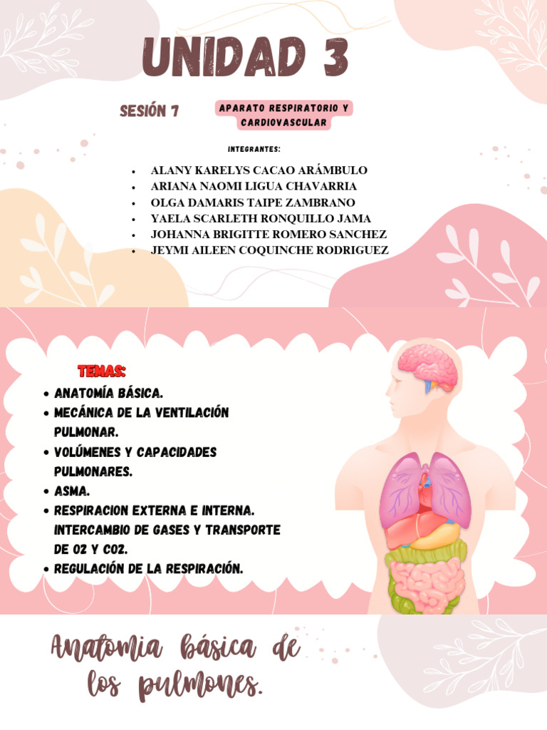 Morfofisiologia) 20240707 192534 0000 | PDF | Respiración | Sistema respiratorio