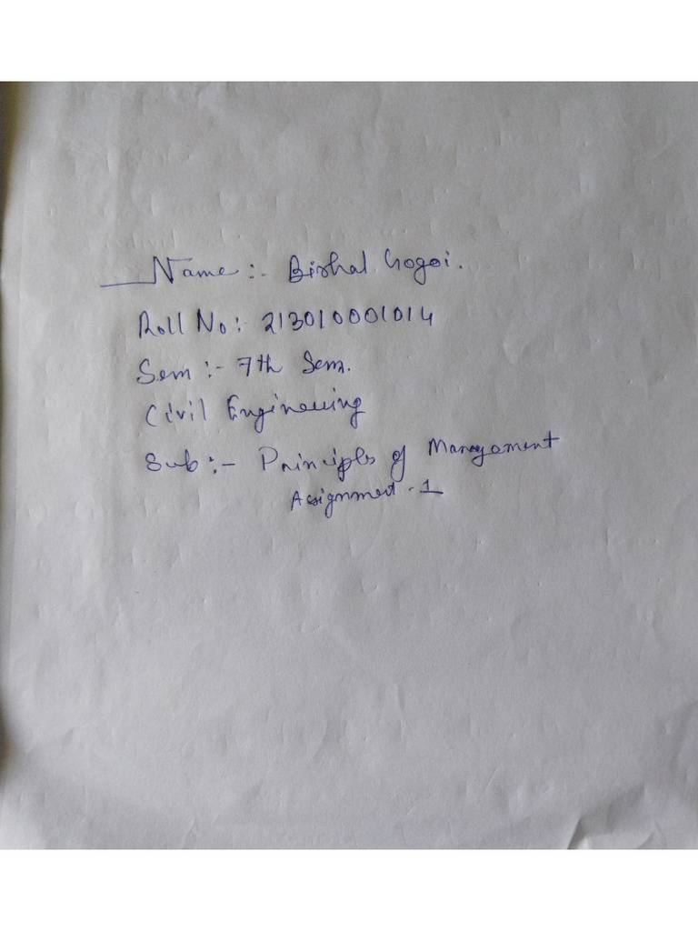 Principles of Management Assignment 1 | PDF