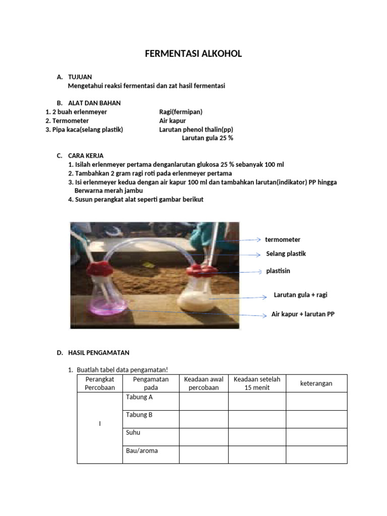 LKPD Fermentasi Alkohol | PDF