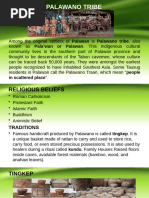 Palaw'A N Tribe: Palawan Studies | PDF | Wellness | Medical