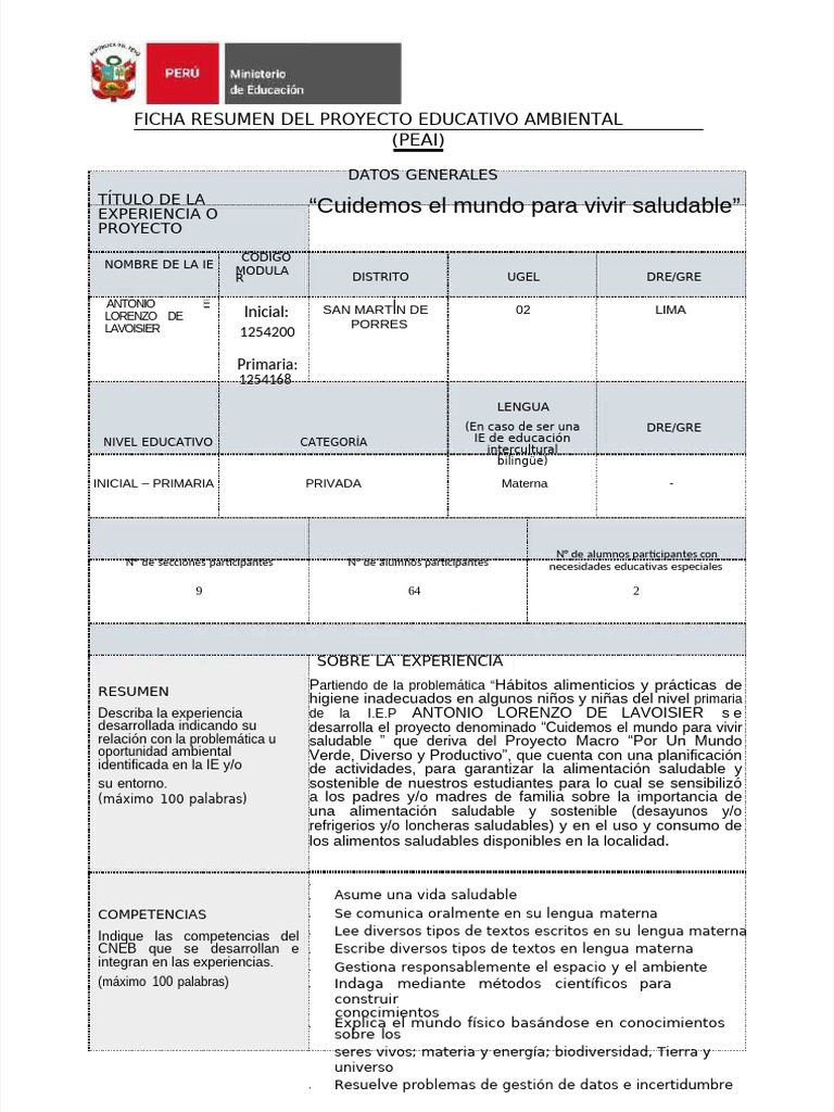 Ficha de Resumne Del Peai | PDF | Aprendizaje | Plan de estudios