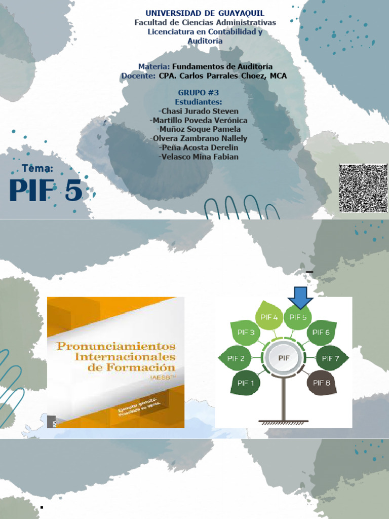 GRUPO 3 - PIF 5 - DPI Experiencia Práctica | PDF | Teneduría de libros | Contralor