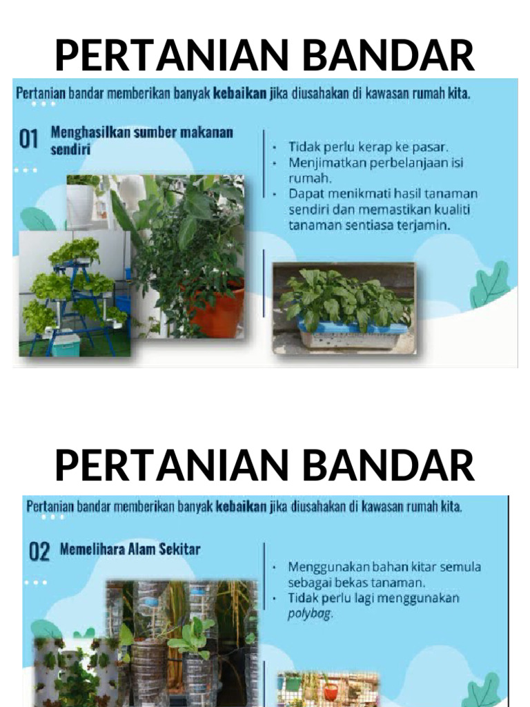 Informasi Pertanian Bandar | PDF