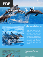 Dolphin Life Cycle for Kids | PDF | Mammals | Biology