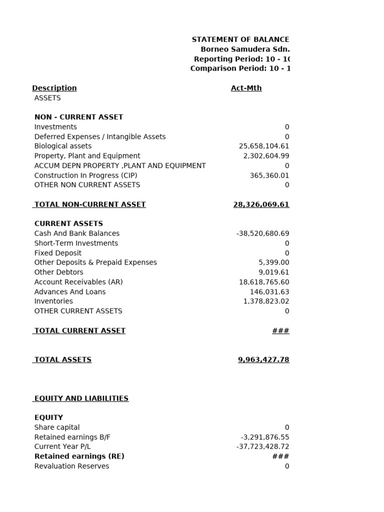 BSPG FS Report 10-10 | PDF | Balance Sheet | Equity (Finance)