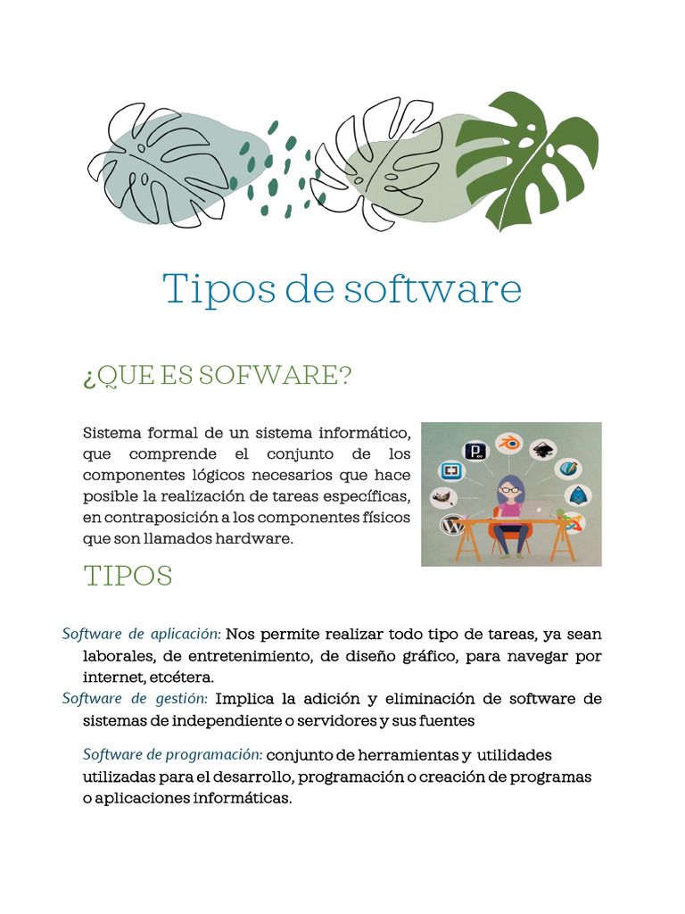 Tipos de Software | PDF