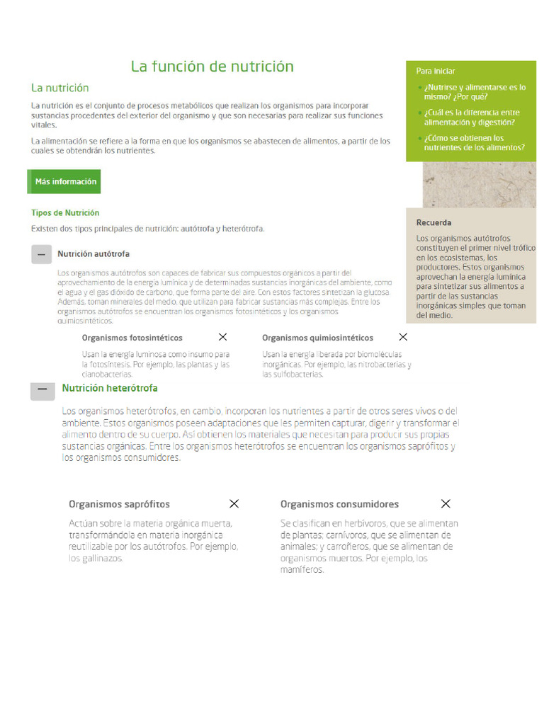 Función de La Nutrición | PDF