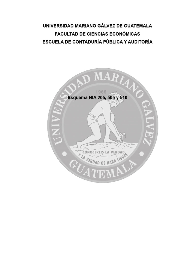 Esquema 250, 505 Y 510 | PDF | Auditoría | Contralor