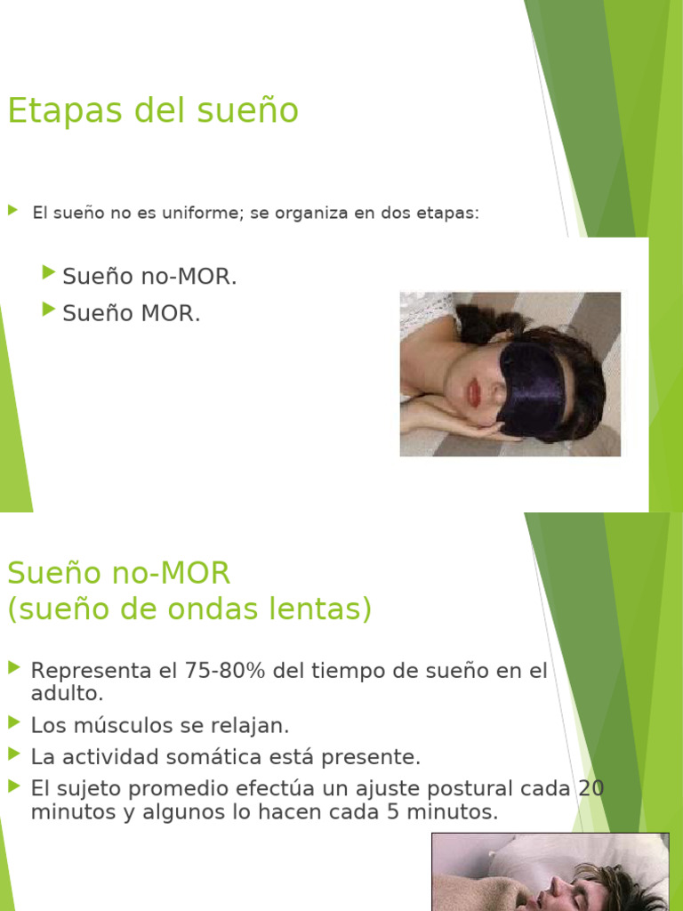 Sueño Mor y No Mor | PDF | Movimiento rápido del ojo Sueño | Dormir
