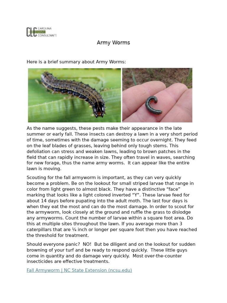 Army Worms Flyer | PDF