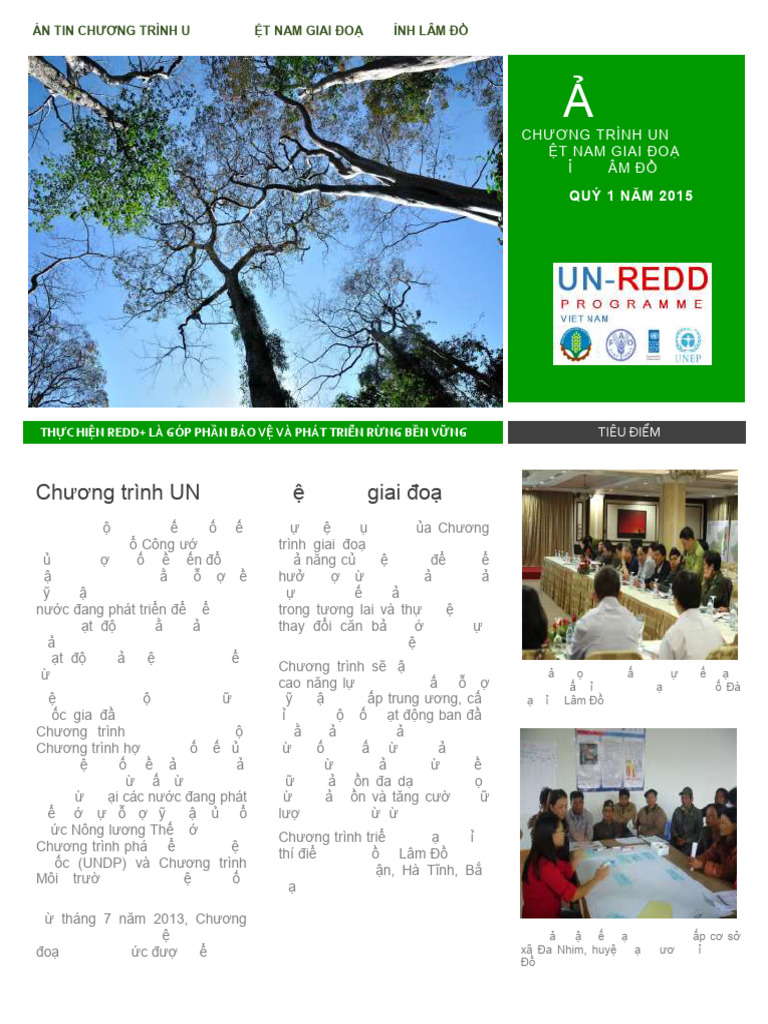 PPMU Lam Dong Newsletter (VN) | PDF