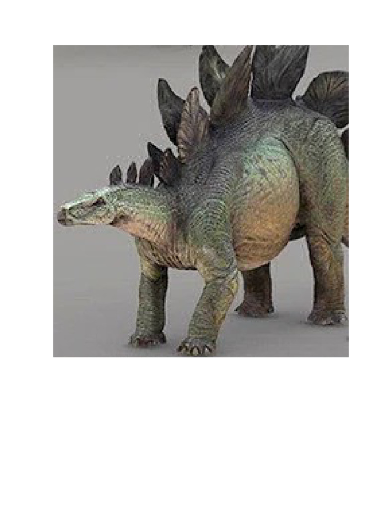 Stegosaurus Vintage | PDF