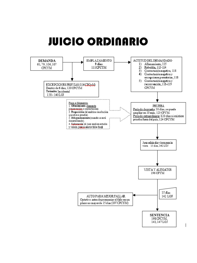 Juicio Ordinario Esquema | PDF