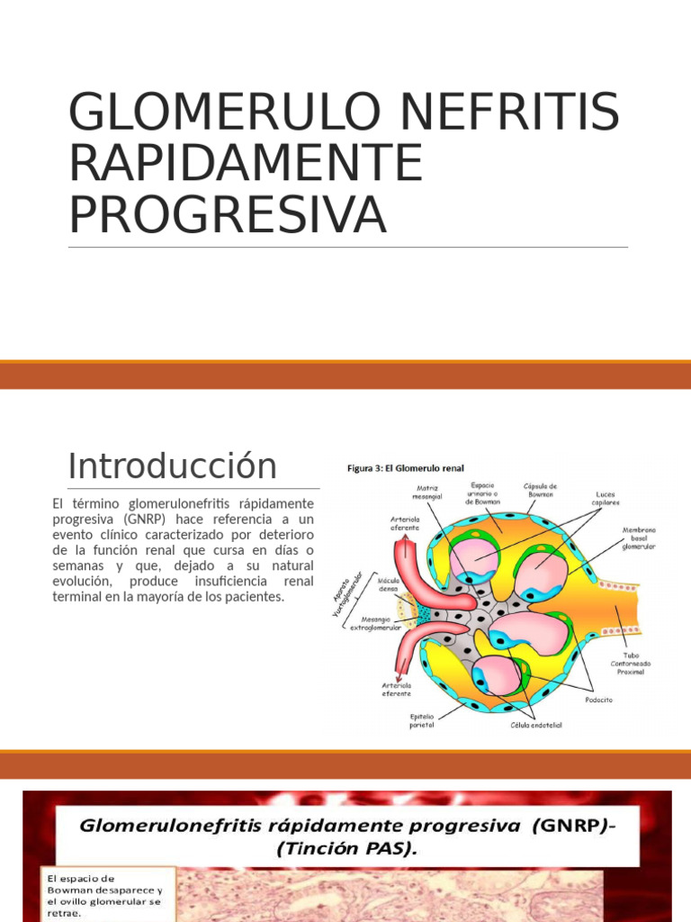 GNRP | PDF | Medicina Interna | Especialidades Medicas