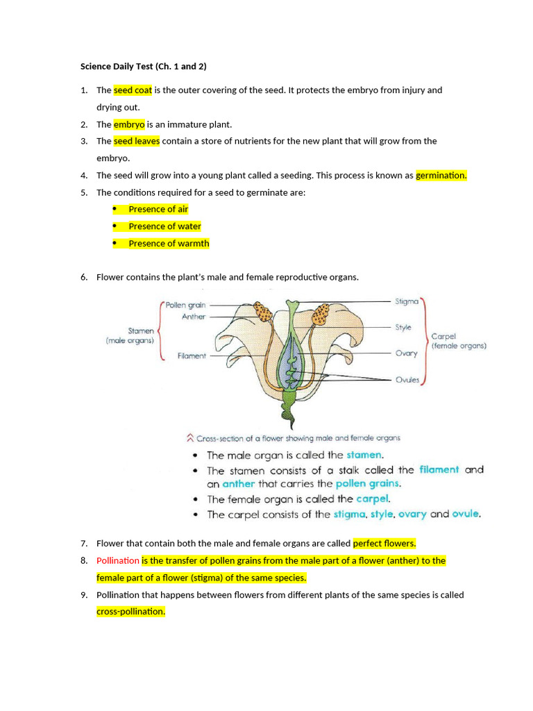 Seed Germination and Plant Life Cycles | PDF | Seed | Flowers