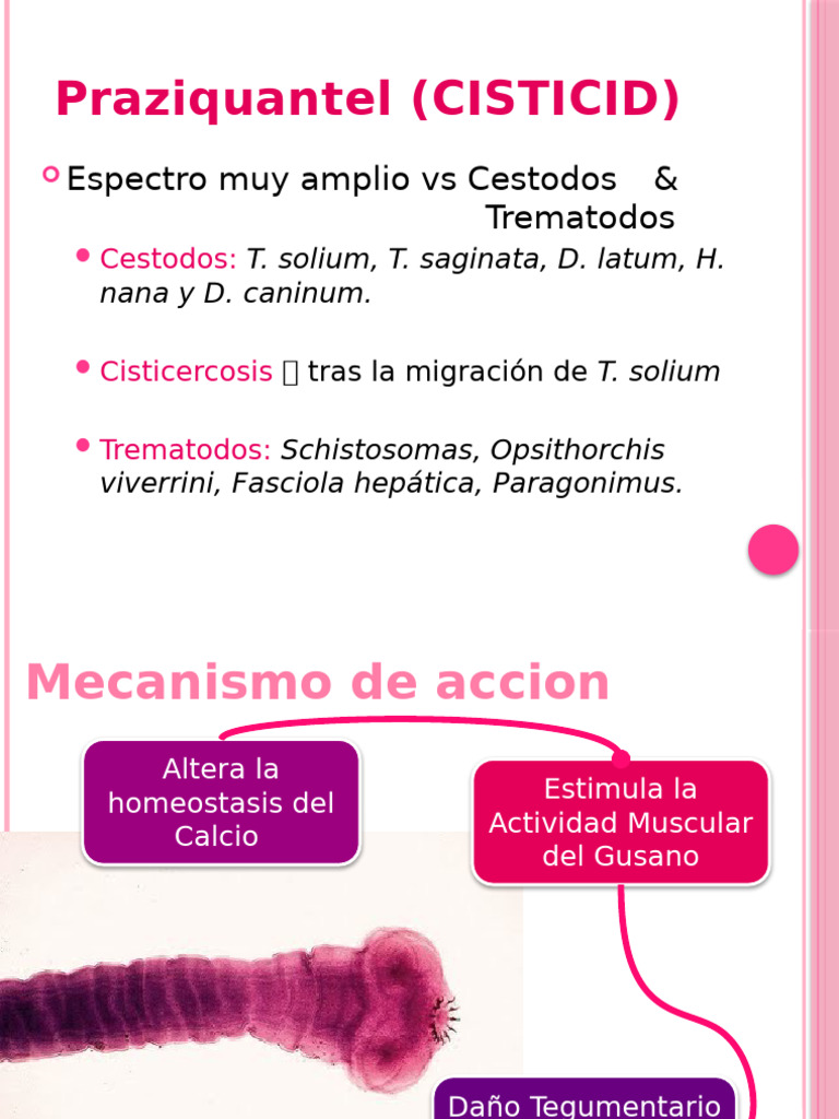 Praziquantel (CISTICID) | PDF | Medicina CLINICA | Especialidades Medicas