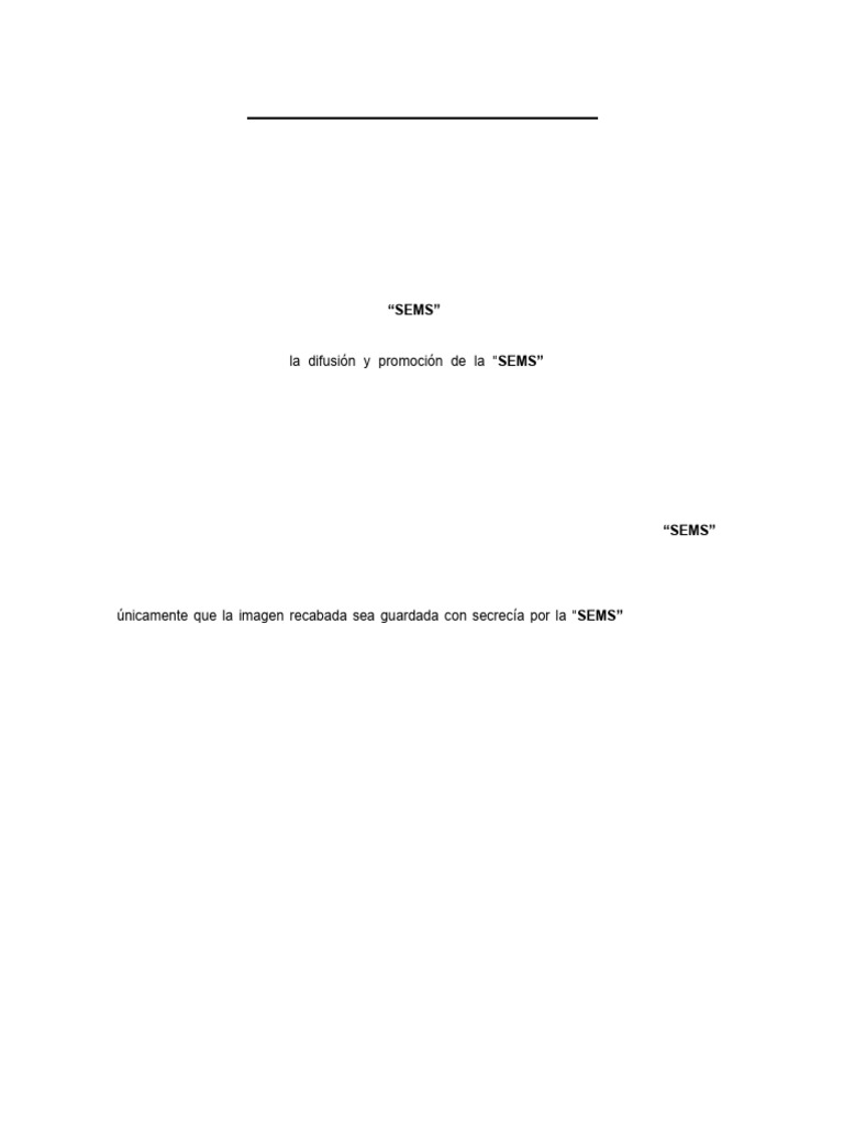Formato de Uso de Imagen EPO 39 | PDF | México | Justicia