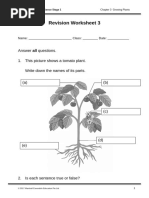 Grade 1 Science Revision Materials and Their Properties | PDF