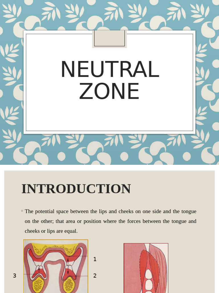 Neutral Zone | PDF | Dentures | Tongue