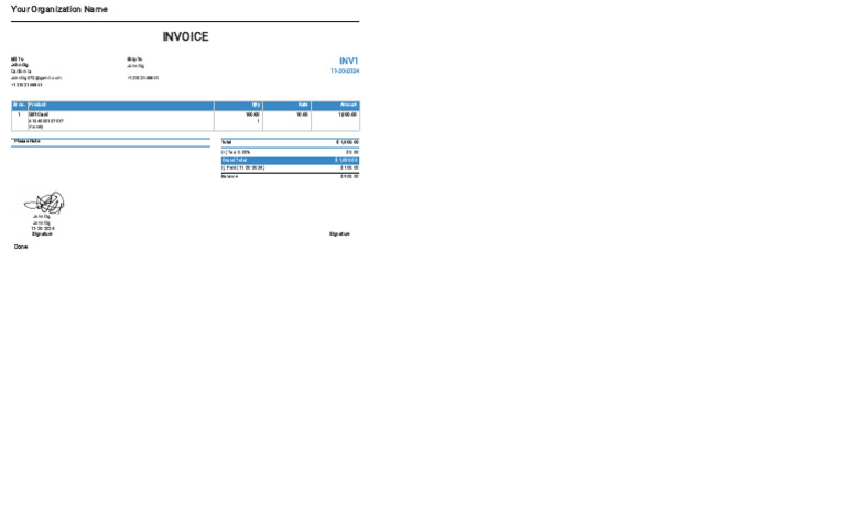 INV INV1 20nov2024 0639 v5 | PDF